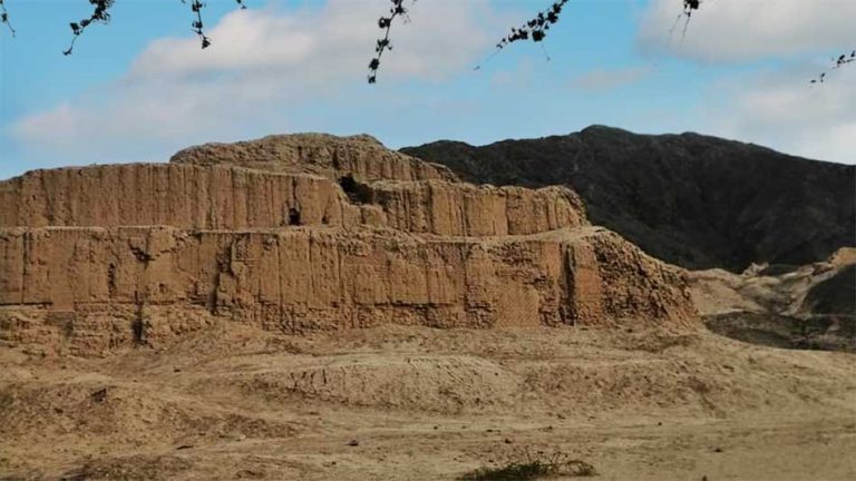 ᐉ Resumen de la Cultura Virú y sus importantes aportes ️